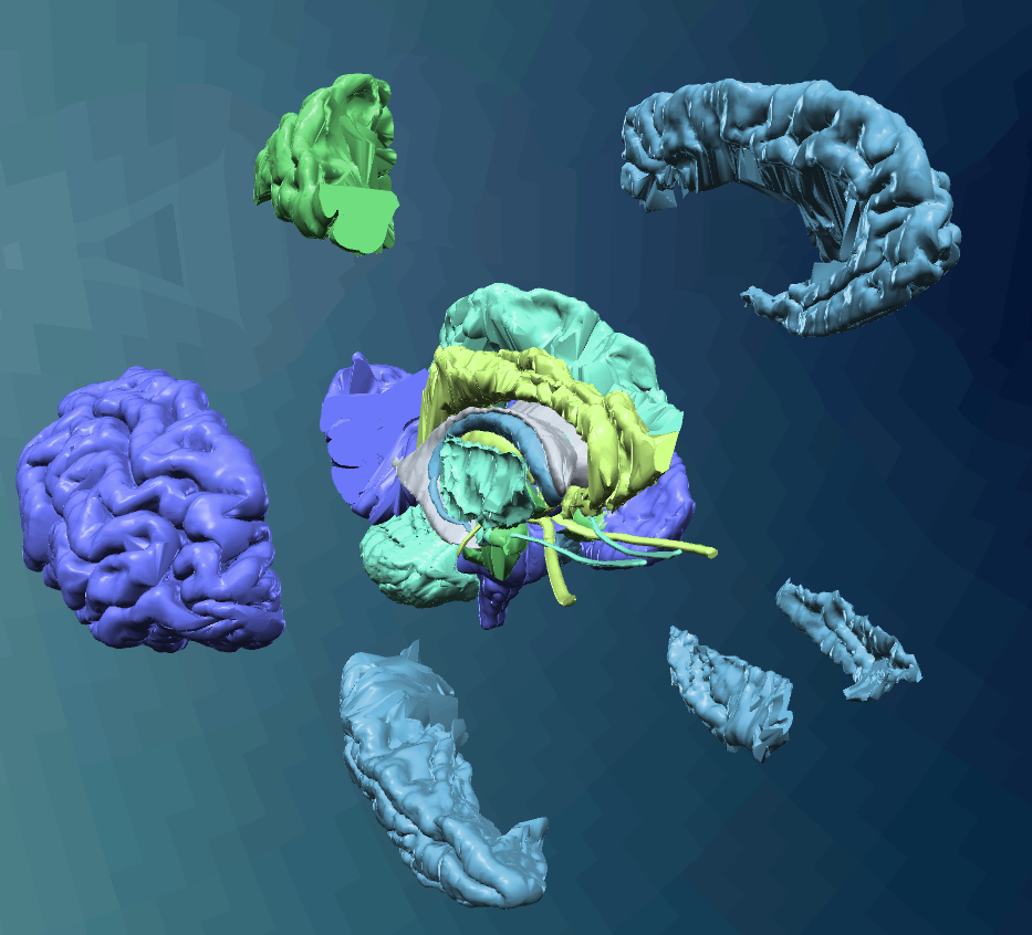 NeuroPlay